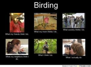 20 Funniest Bird Watching Memes (Guaranteed to laugh!) - Birding Outdoors