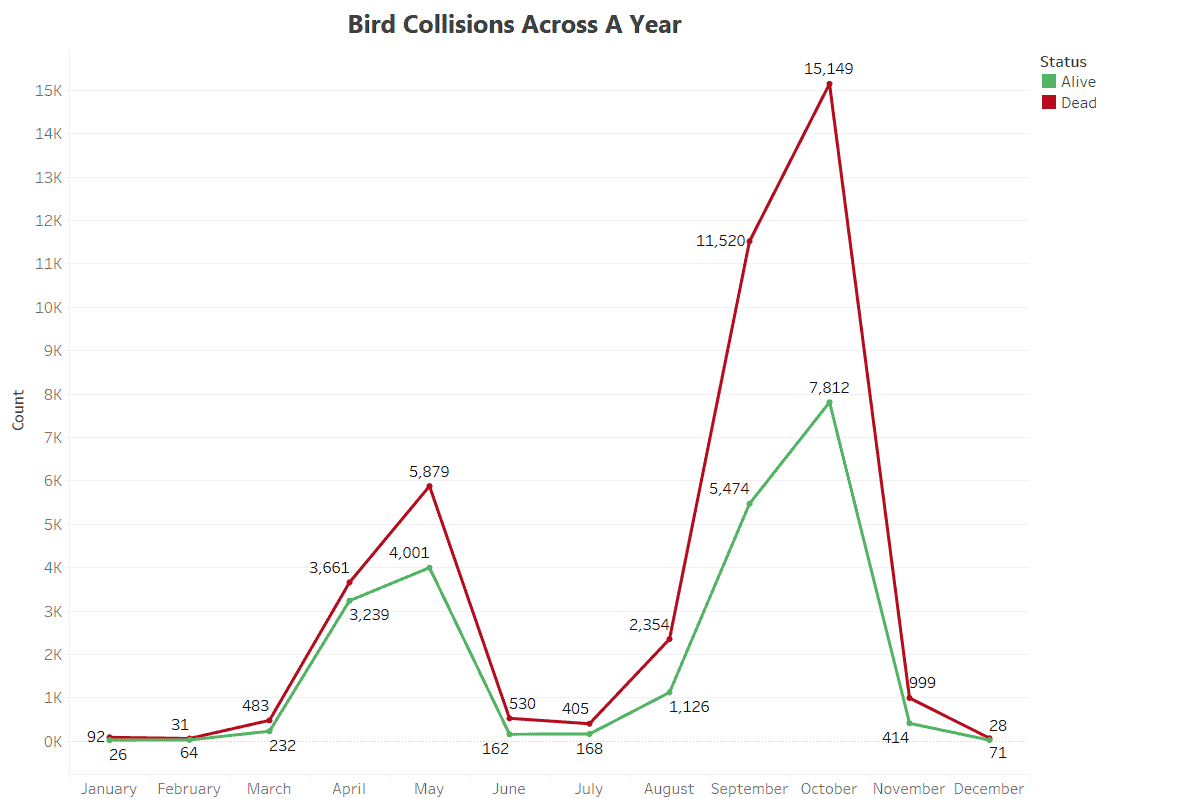 Do Birds Die When They Fly Into Windows? (ANSWERED!) - Birding Outdoors